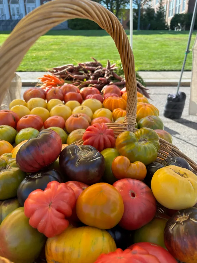 Massachusetts Farmers Markets 2026 | Dates, Hours & Locations